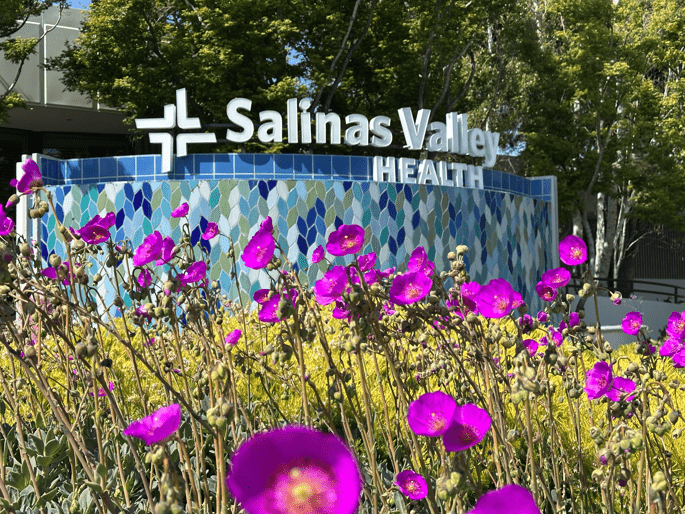 Salinas Valley Health Marketing Team Earns National Recognition